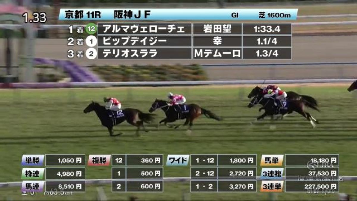 【12/8 阪神JFほか】京都ダイジェスト/JRAレース結果 | 競馬動画 - netkeiba