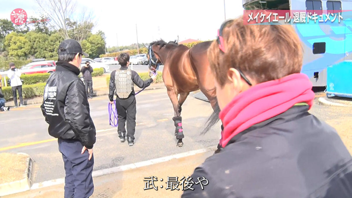 209】メイケイエール引退特集第2弾 引退式ダイジェスト＆退厩日ドキュメント 池添謙一＆武英智厩舎 競馬動画 Netkeiba